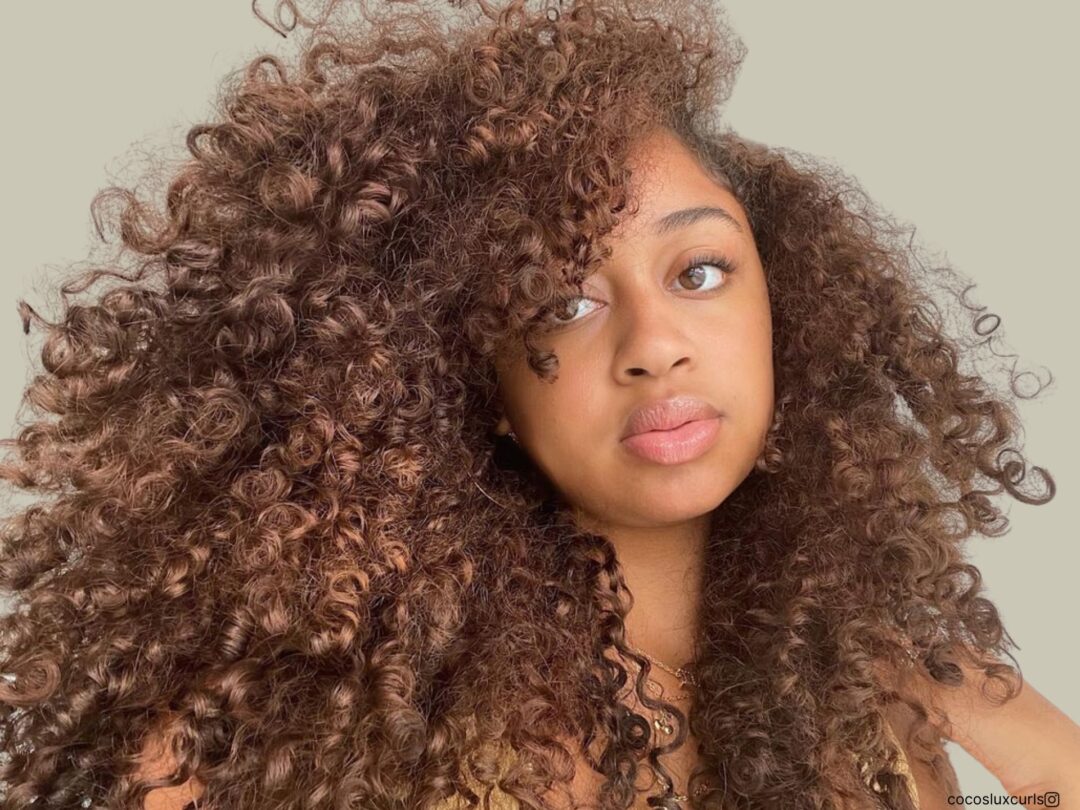 Caramel Highlights Curly Hair Combo Is Trending And These 22 Pics Prove Why