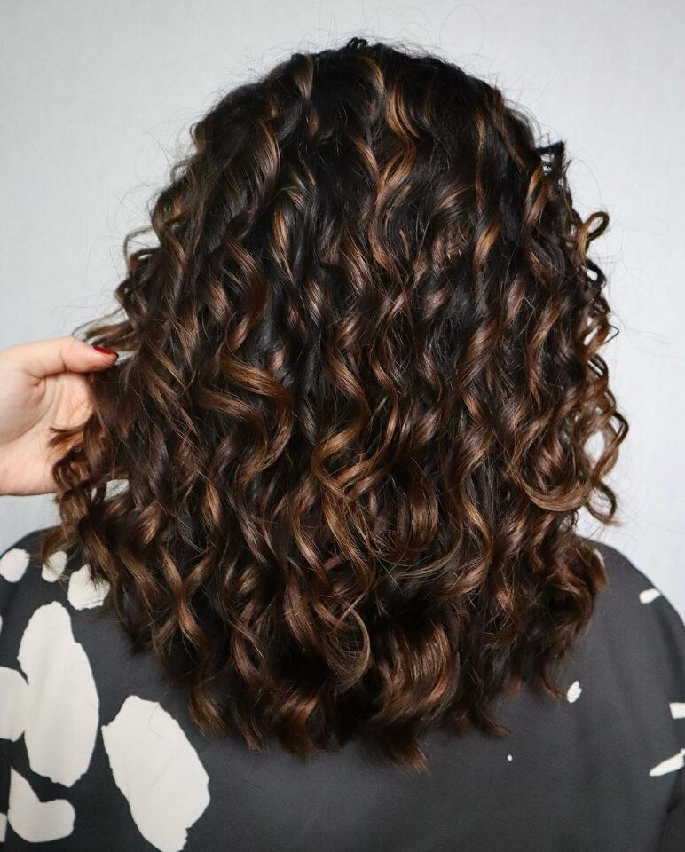 Caramel Highlights Curly Hair Combo Is Trending And These 22 Pics Prove Why