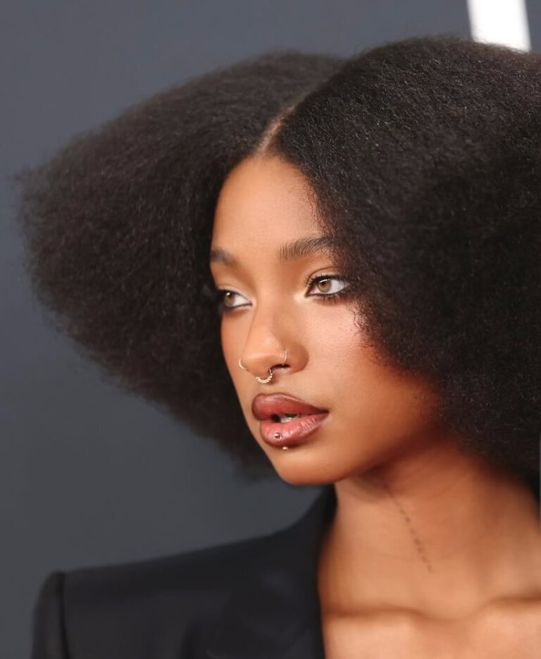 31 2025’s Top Wash And Go Afro Hairstyles For Effortless Beauty